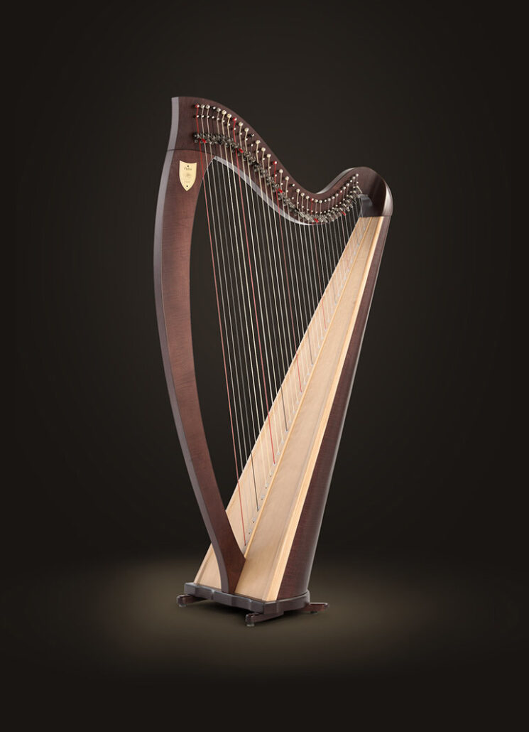 10 Easiest Instruments to Learn Late in Life - Sessions Music